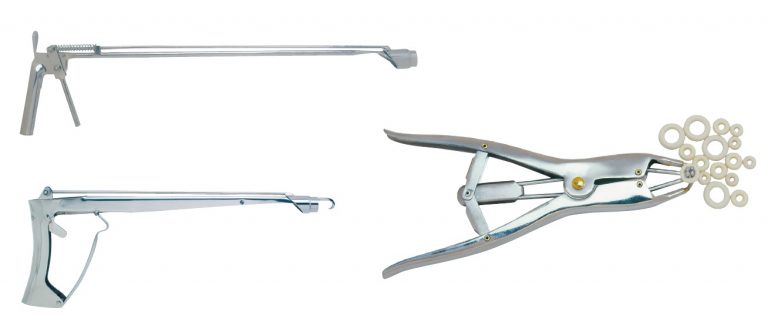 Beef - Jarvis South Africa